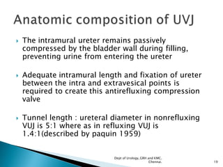 Pediatric urology : Vesicoureteric reflux(vur)- overview | PDF