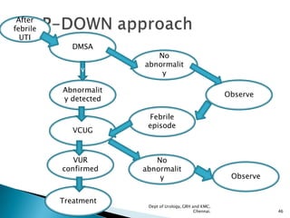 Pediatric urology : Vesicoureteric reflux(vur)- overview | PDF