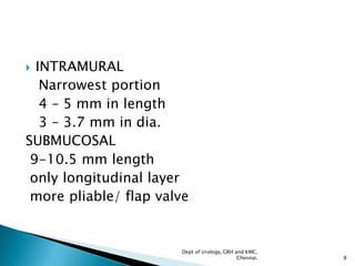 Pediatric urology : Vesicoureteric reflux(vur)- overview | PDF