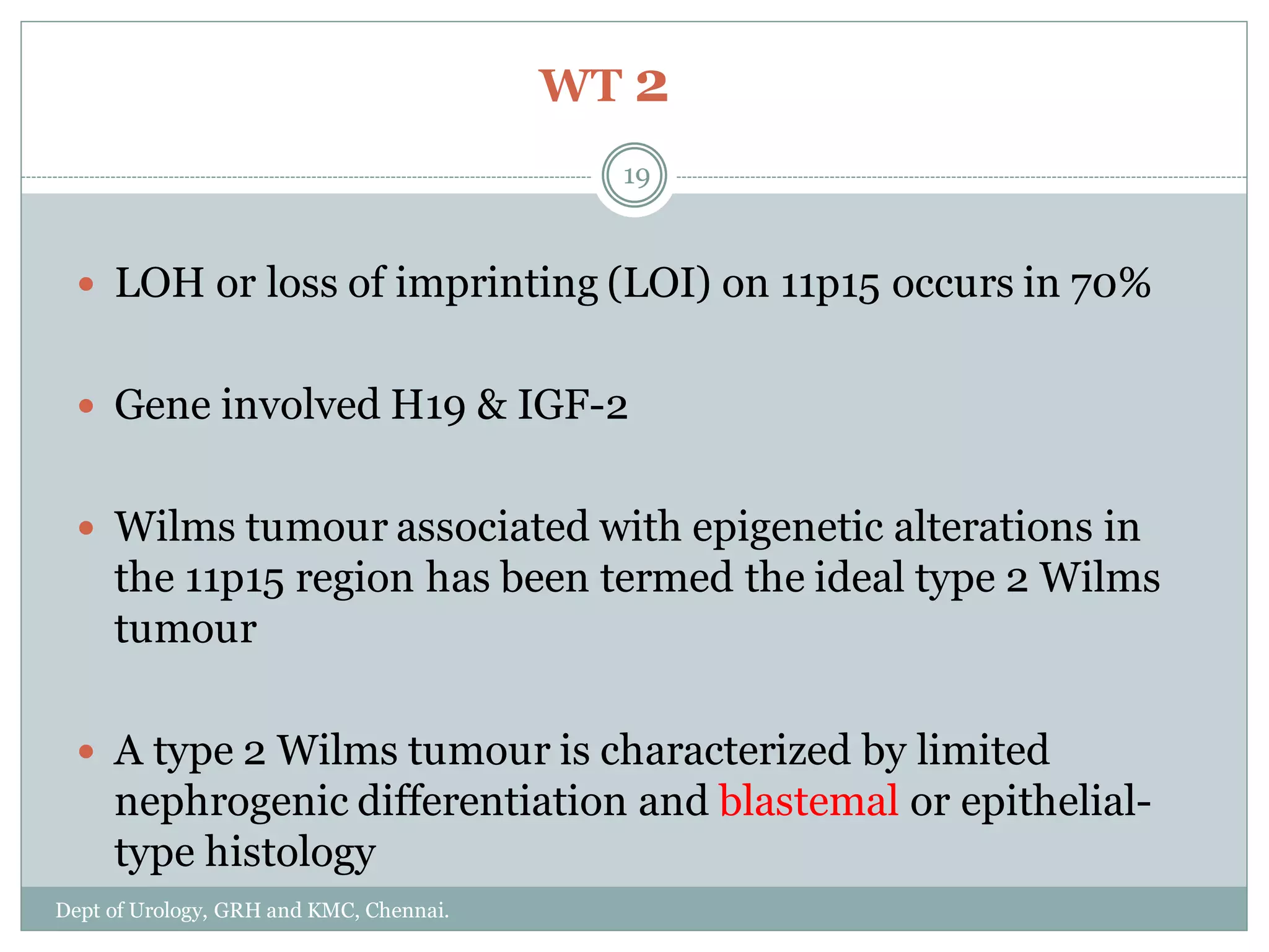 Pediatric urology : Wilms tumour | PDF