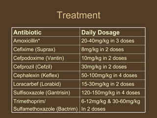 Pediatric Uti | PPT