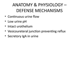 Pediatric_UTI_COMPLETE_DETAILED_LECTURE.pptx