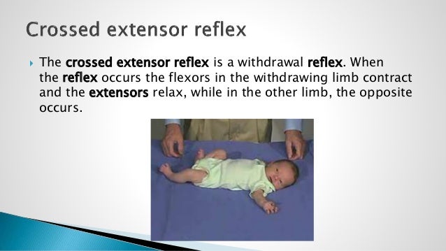 Pediatric versus adult assessment