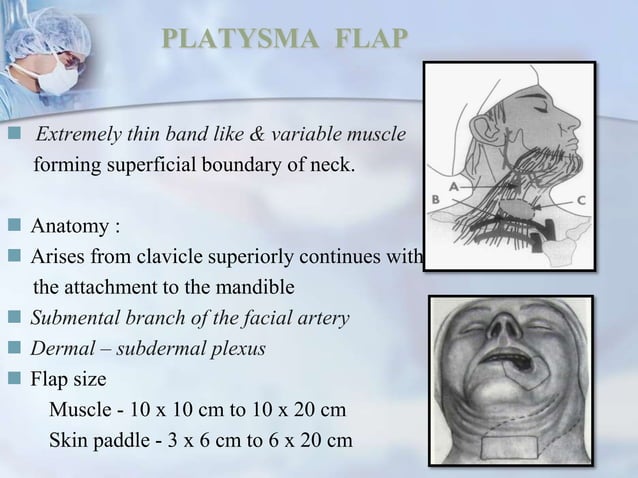 scope of Pedicled flaps in oral and maxillofacial surgery | PPTX