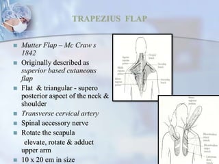 scope of Pedicled flaps in oral and maxillofacial surgery | PPT