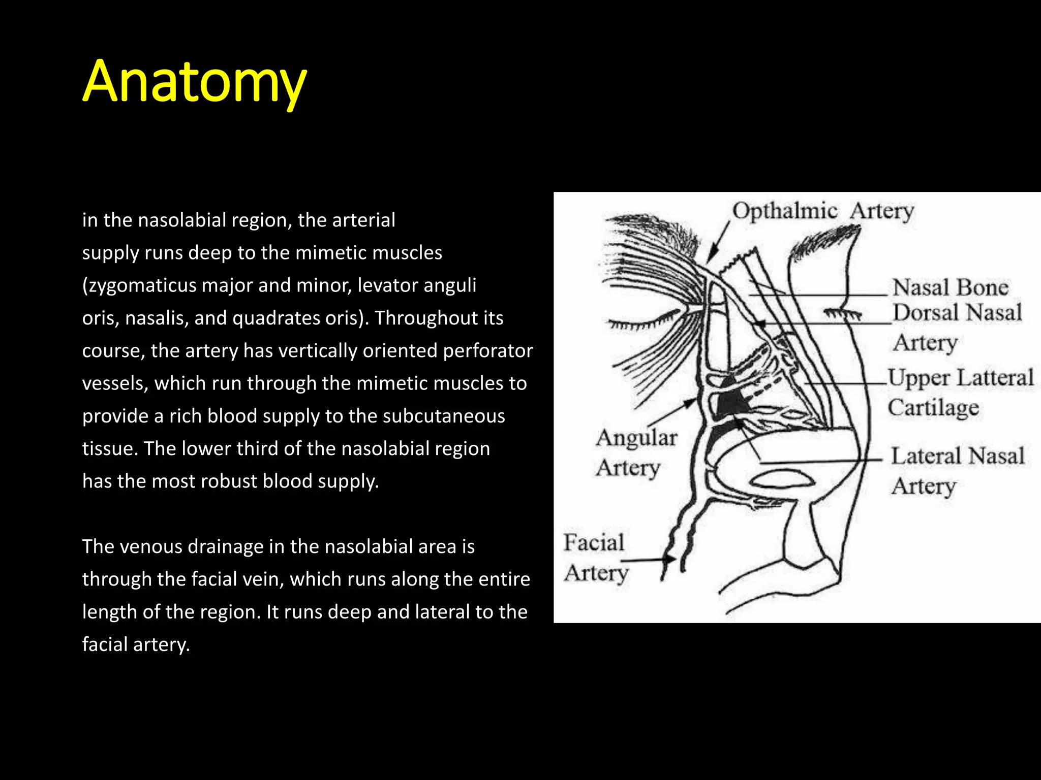 Pedicle flap in Maxillofacial Surgery | PPTX