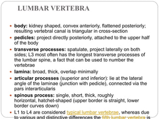 Pedicle Screws Fixation of Thoraco-Lumbar Spine | PPTX
