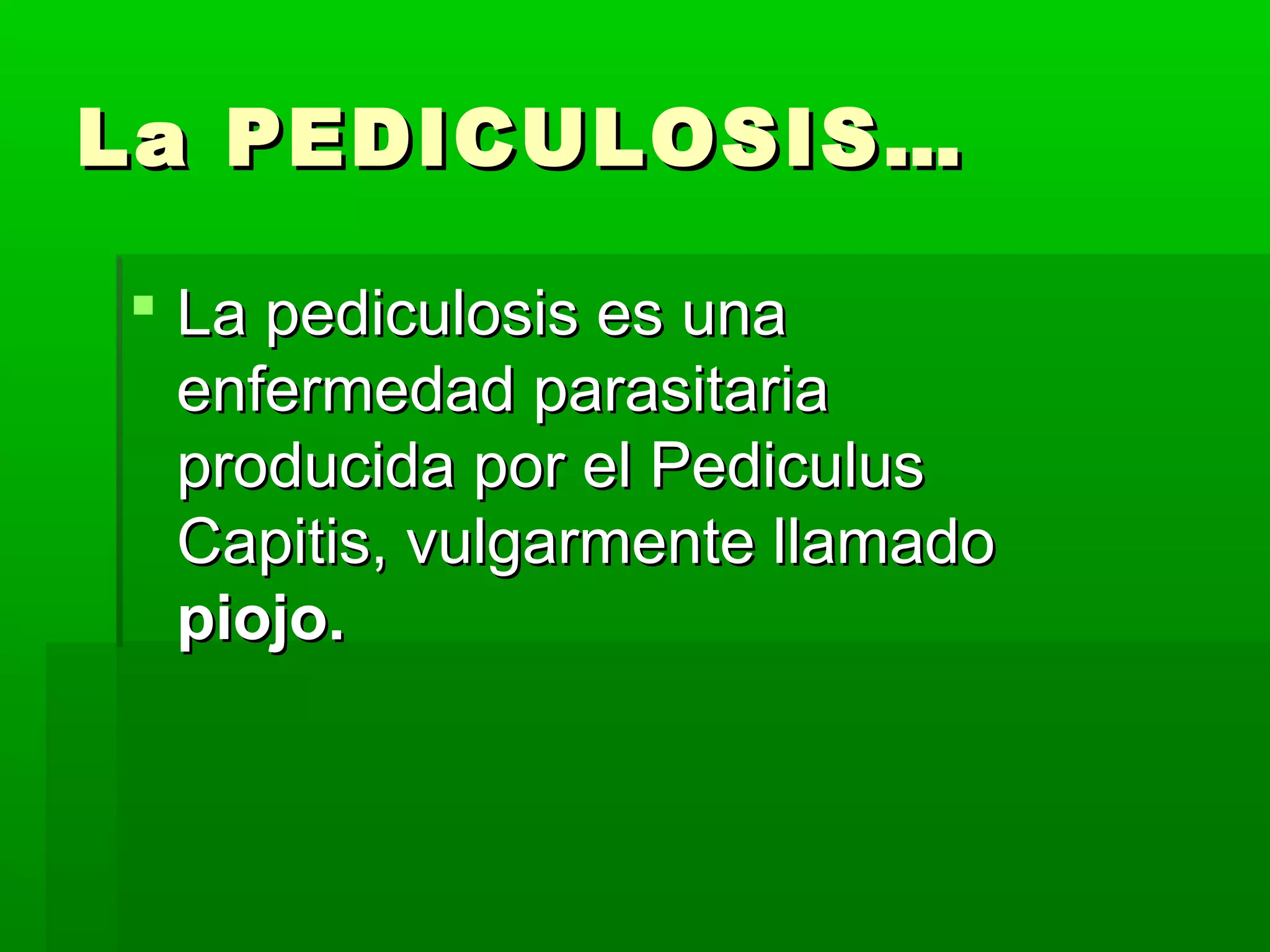 Pediculosis | PPT | Descarga Gratuita
