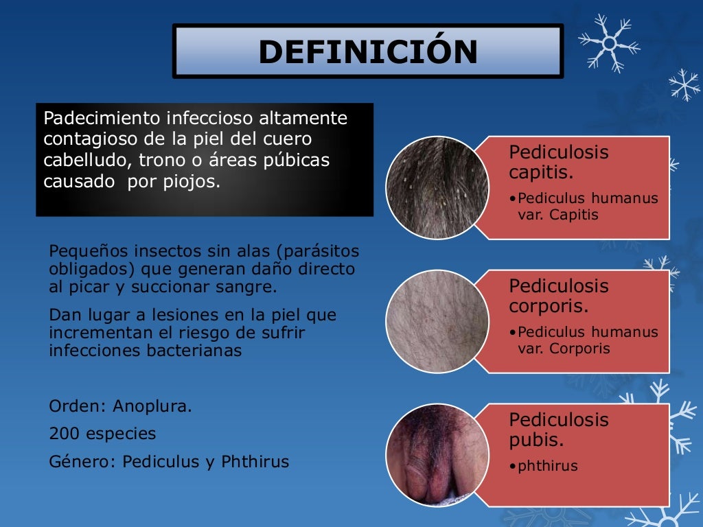 Pediculosis