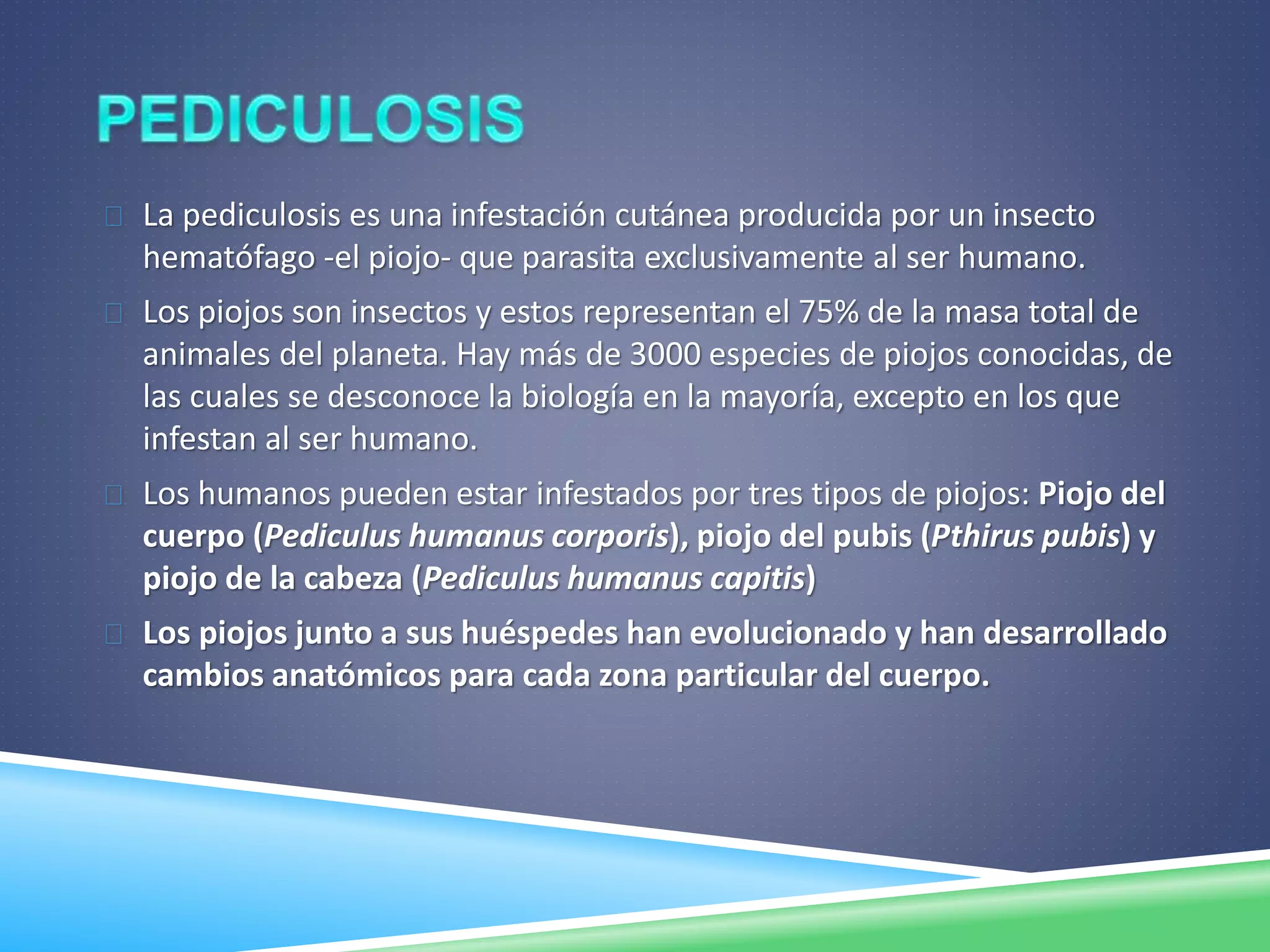 Pediculosis - Pediculosis capitis, corporis y púbica | PPTX