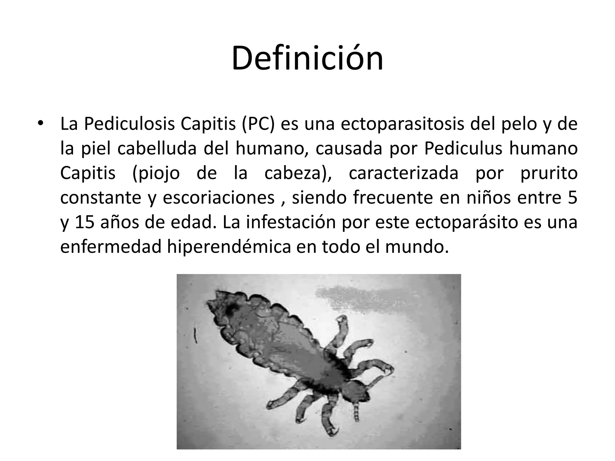 Pediculosis, Precauciones con Infección por piojos | PPT