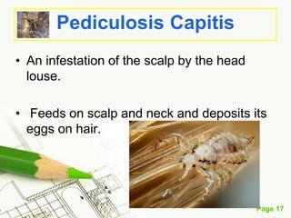 Pediculosis Capitis Treatment