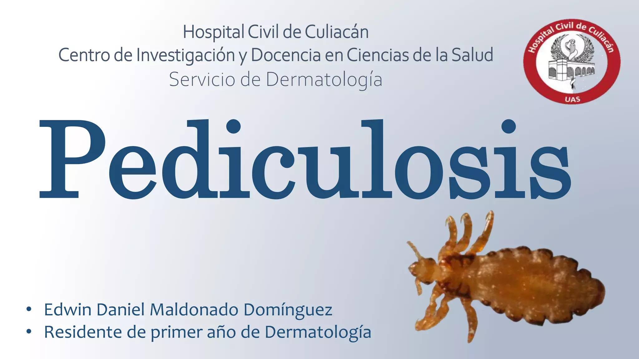 Pediculosis | PPTX