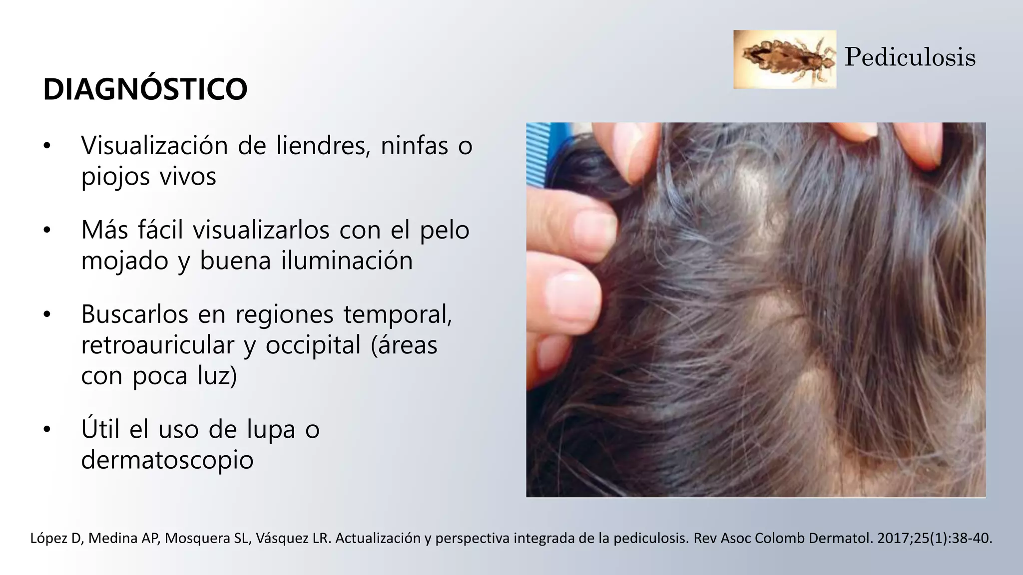 Pediculosis | PPTX