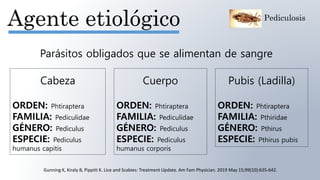 Pediculosis | PPTX