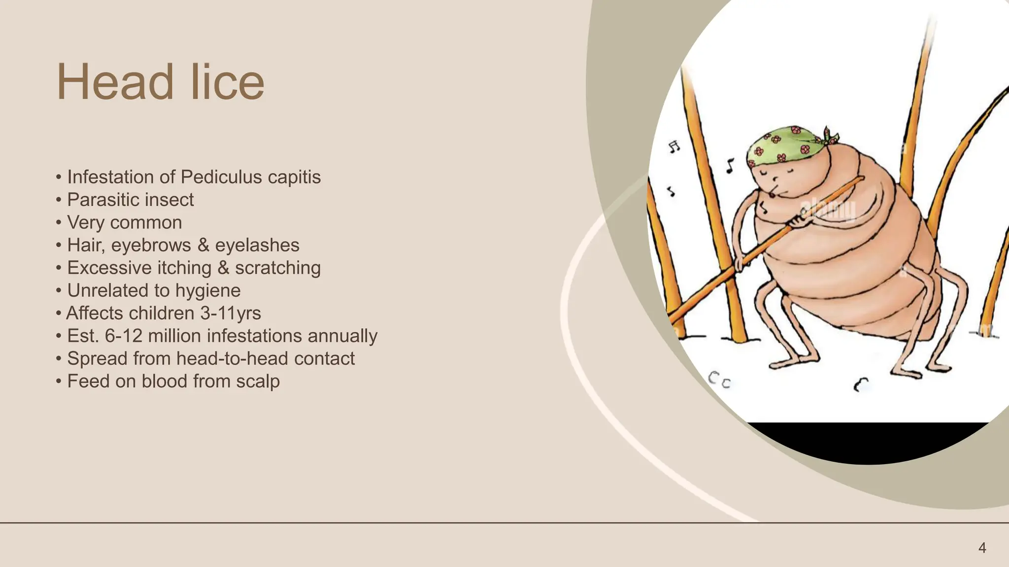 PEDICULOSIS AJEESH ML.pptx skin and hair | PPT