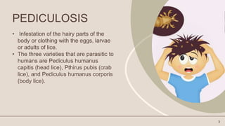 PEDICULOSIS AJEESH ML.pptx skin and hair | PPTX