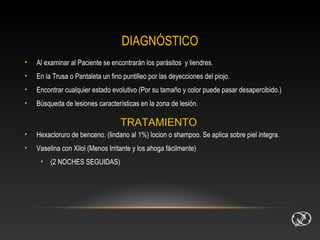 Pediculosis púbica (Phthirus pubis-Ladillas) | PPT
