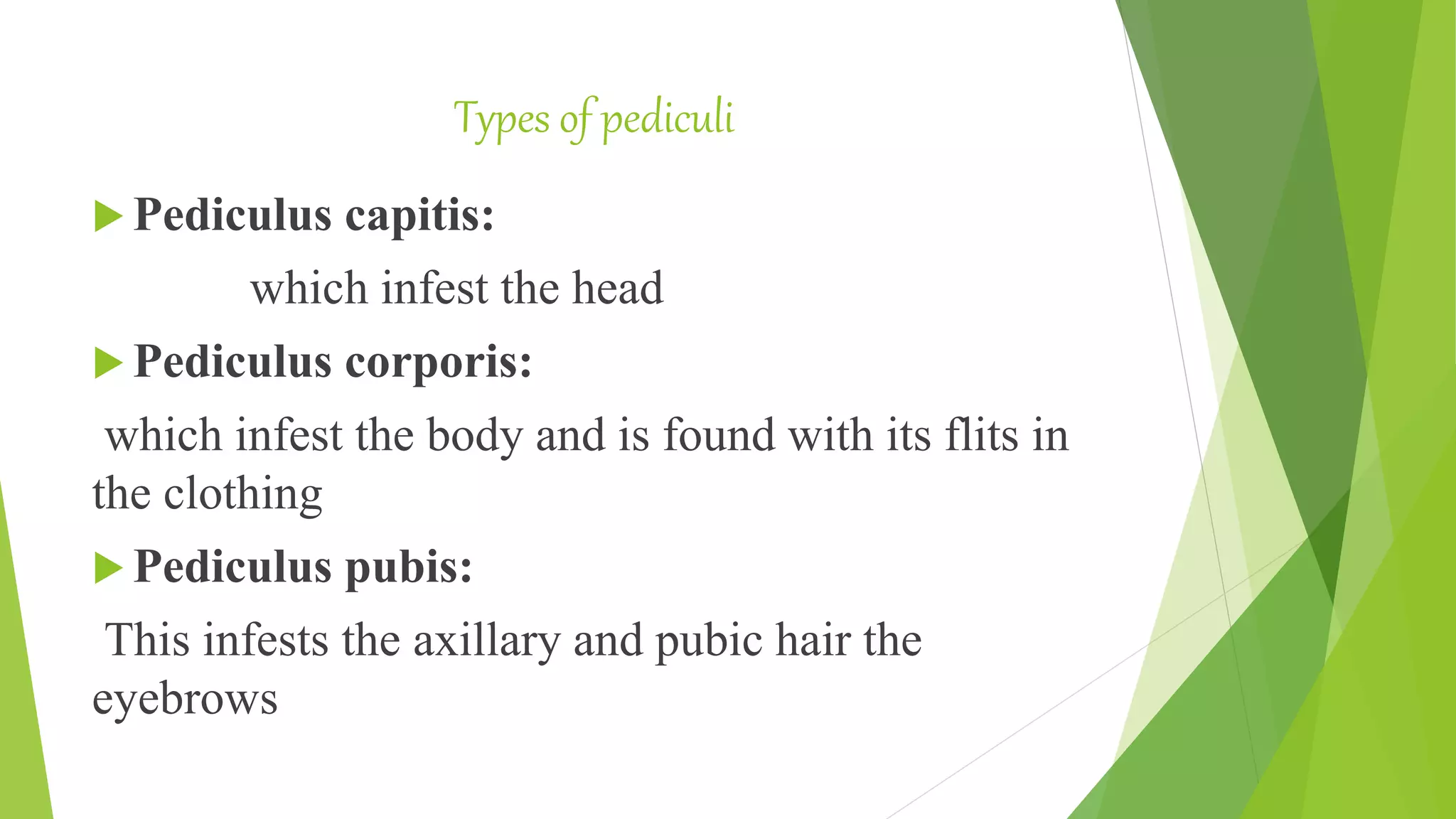 pediculosis treatment.pptx
