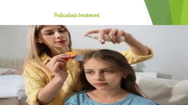 pediculosis treatment.pptx | Skin and Dermatology | Diseases and Conditions