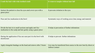 pediculosis treatment.pptx