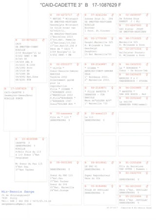 Pedigre 2 mir benois | PDF