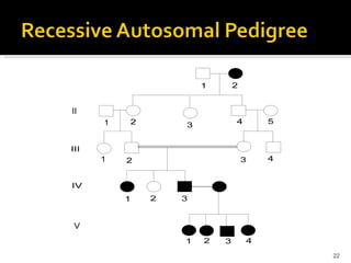 Polygenic Inheritance Pedigree