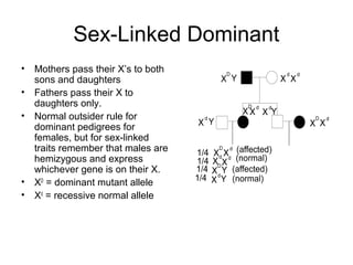 Pedigree | PPT