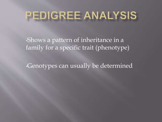 Pedigree | PPTX