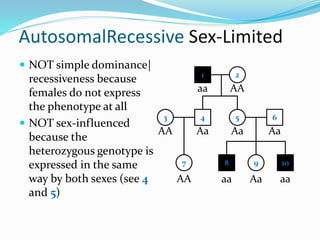 Pedigree and inheritance | PPTX | Genetics | Science