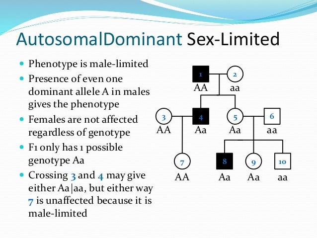 Pedigree and inheritance