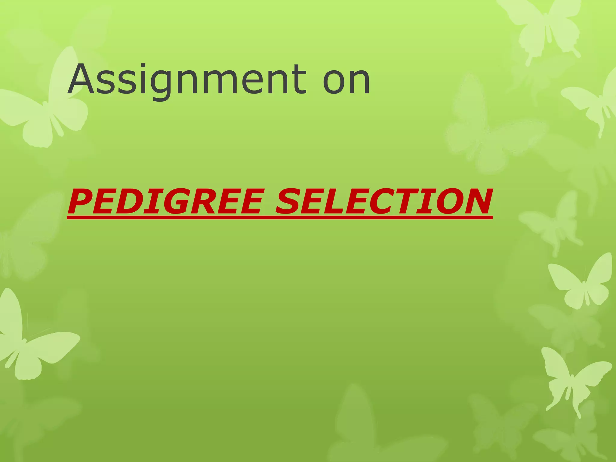 Pedigree Selection | PPTX
