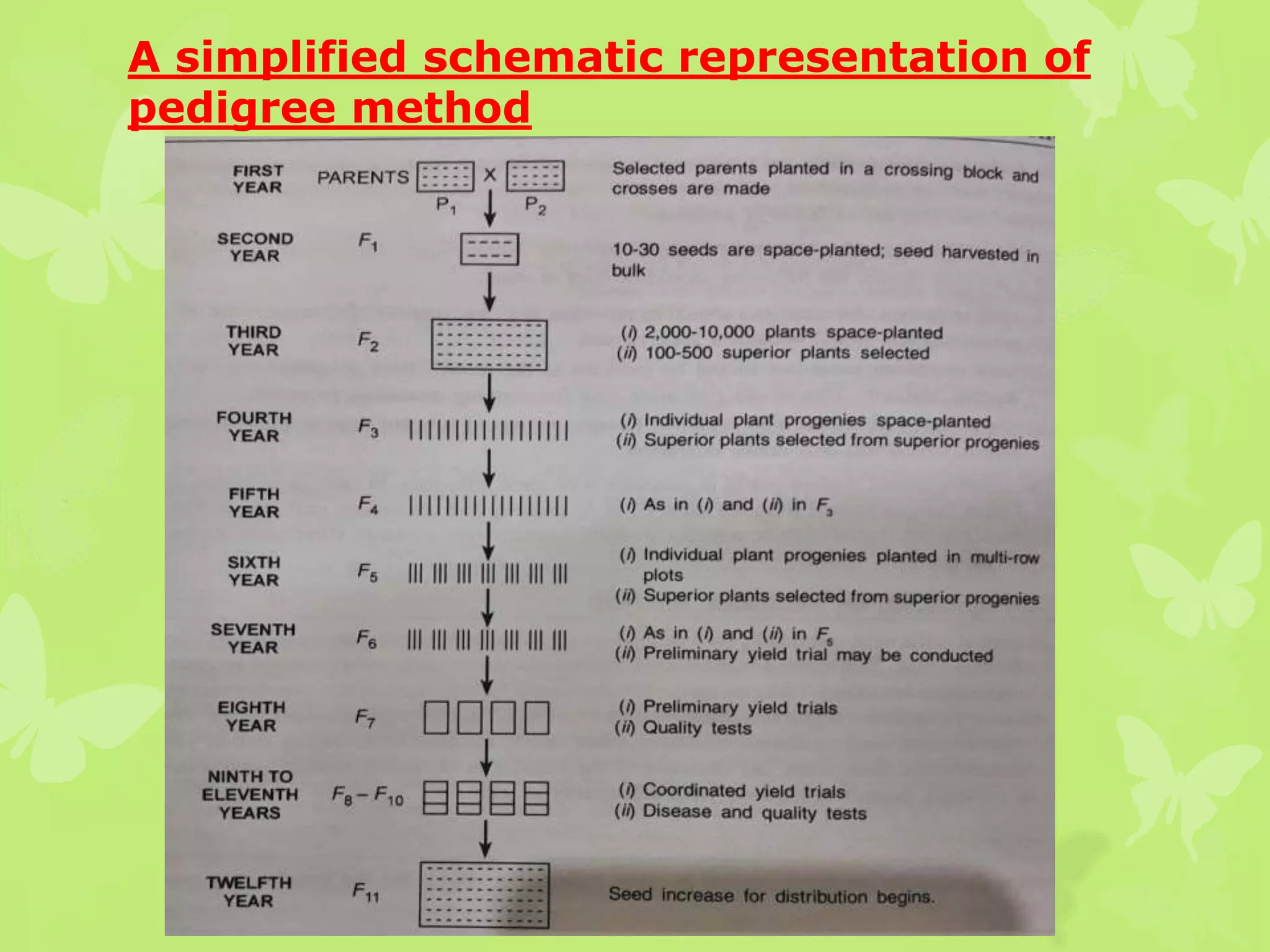 Pedigree Selection | PPTX