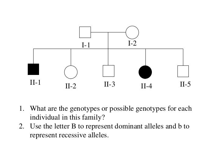 Pedigree analysis