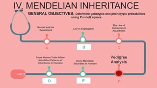 IV. MENDELIAN INHERITANCE (The Pedigree analysis) | PPTX