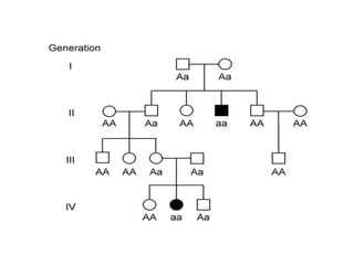 PEDIGREE ANALYSIS.pdf