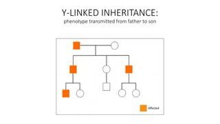 PEDIGREE ANALYSIS.pptx