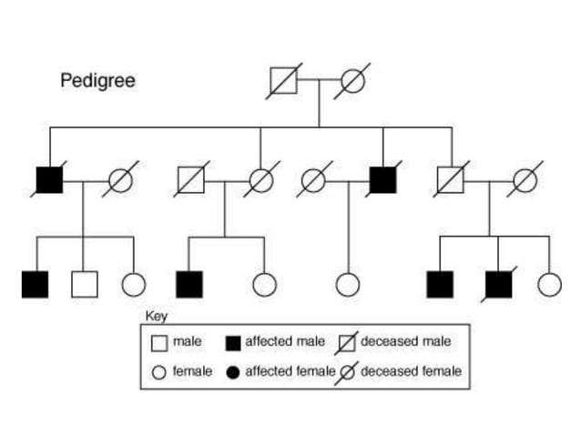 Pedigree analysis.pptx