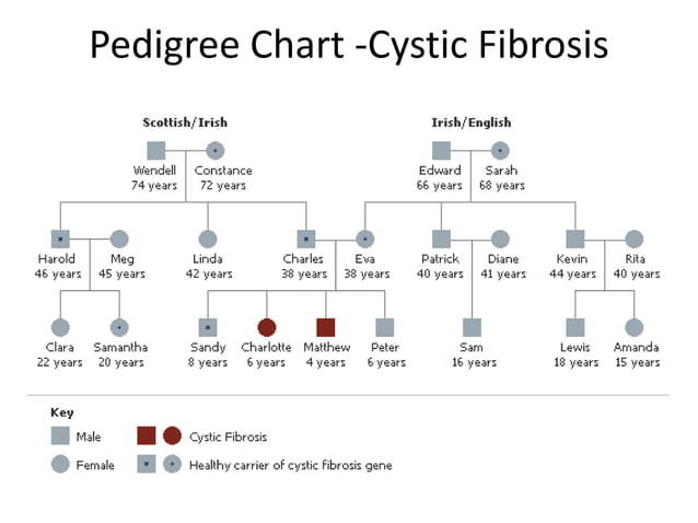 Pedigree analysis.pptx