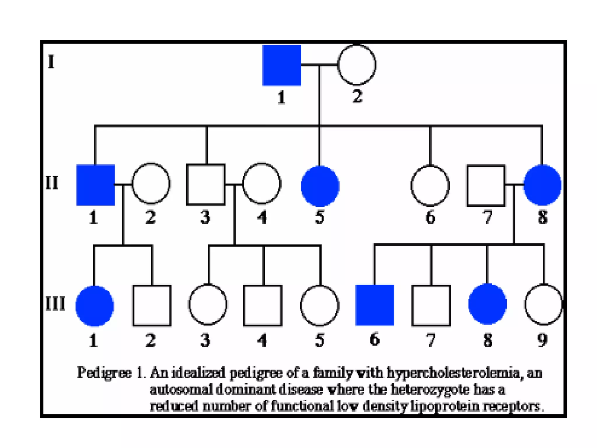 Pedigree analysis presentation | PPTX