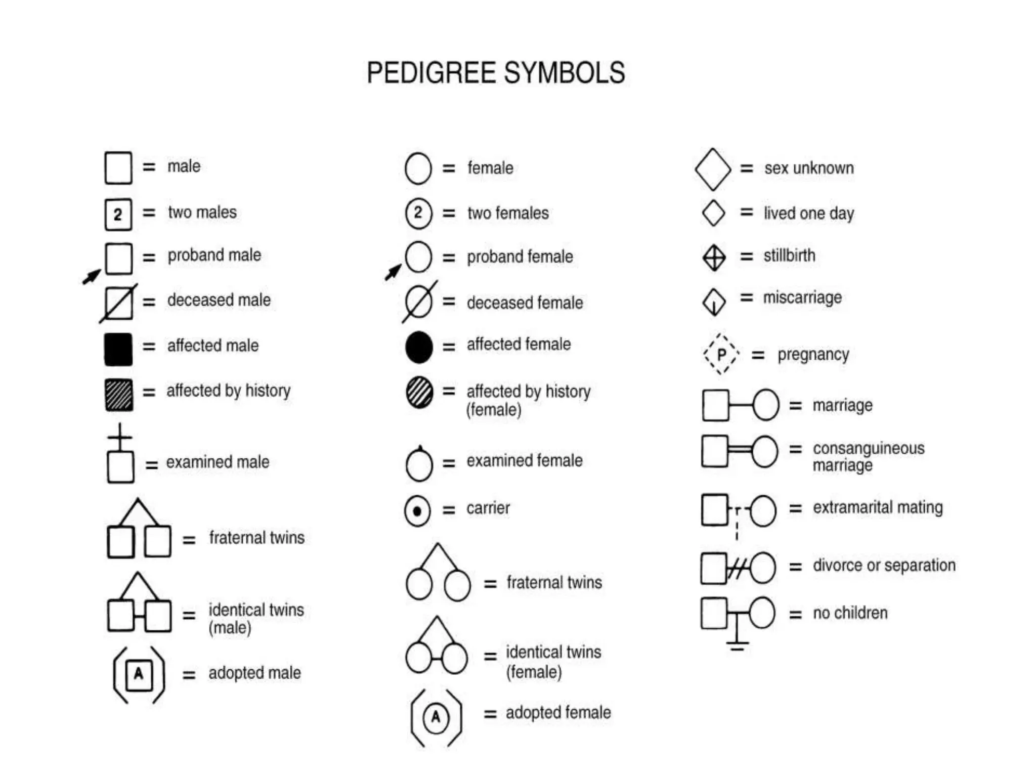 Pedigree analysis presentation | PPTX