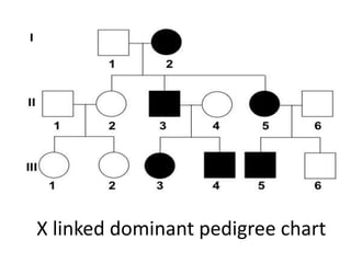Pedigree analysis presentation | PPTX