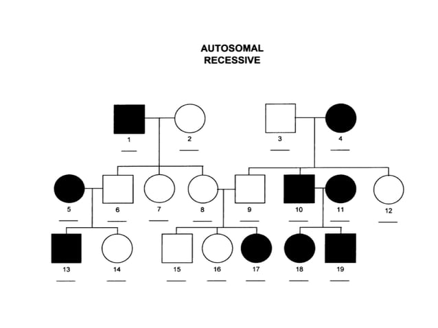 Pedigree analysis presentation | PPT