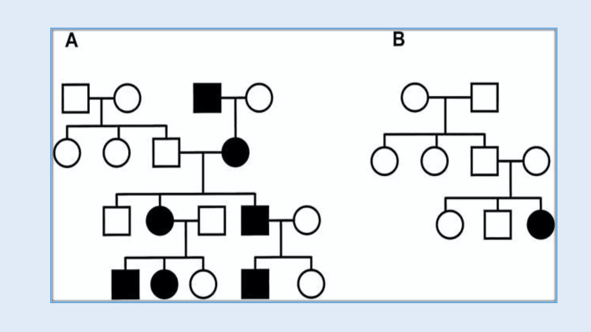 Pedigree chart & autosomal inheritance | PPTX