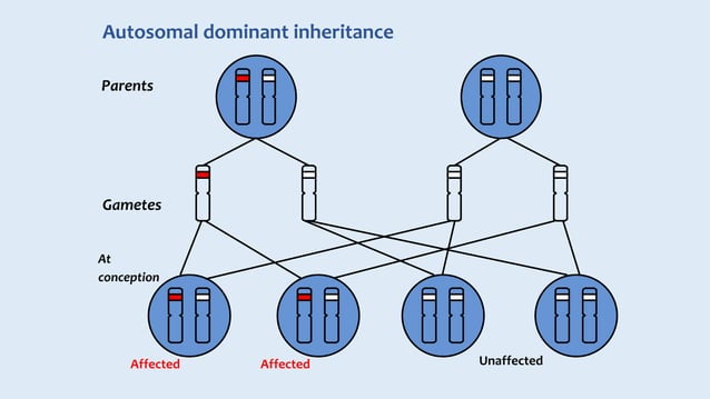 Pedigree chart & autosomal inheritance | PPTX