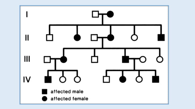 Pedigree chart & autosomal inheritance | PPTX