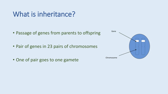 Pedigree chart & autosomal inheritance | PPTX