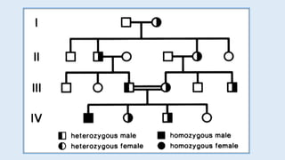Pedigree Chart Autosomal Dominant