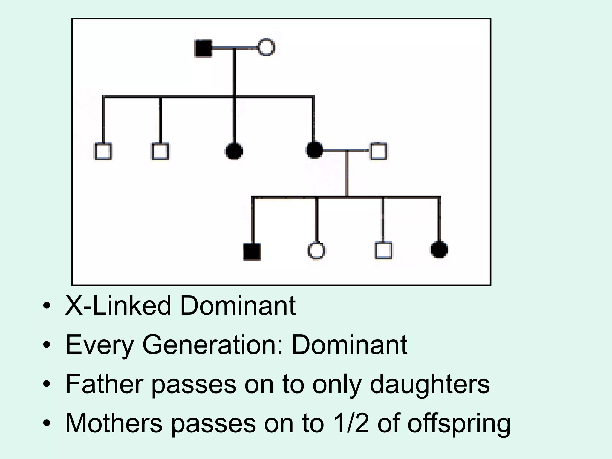 Pedigree Charts.ppt