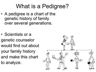 Pedigree Charts.ppt